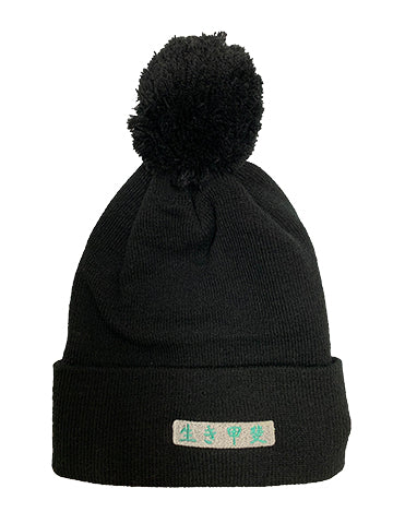 Naughty Beanie – Modified Decals INC